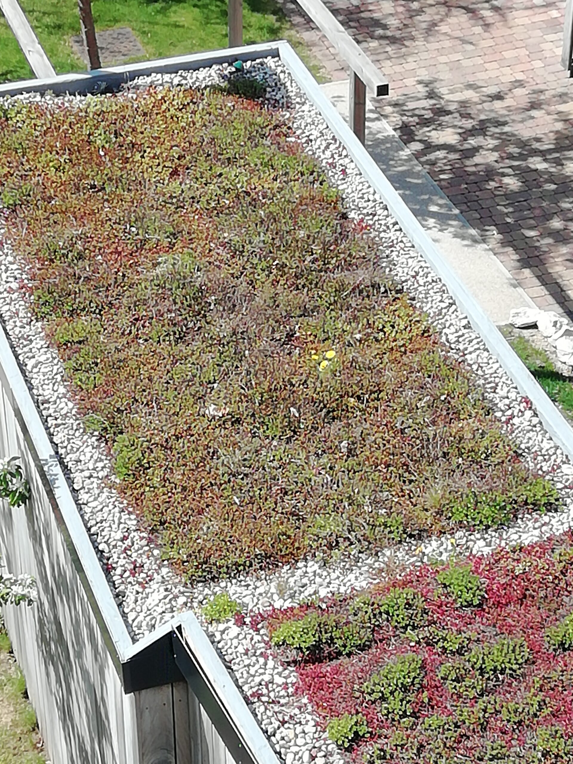 Woodside Square — Sustainability at Woodside Square: a conversation ...