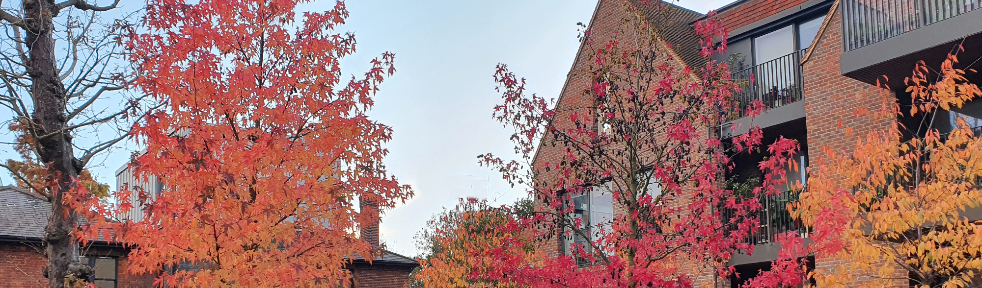 Woodside Square — Information and contacts